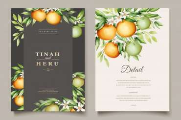 Hình ảnh vector Sầu riêng đặt các mục bị cô lập. – Thư viện hình vector