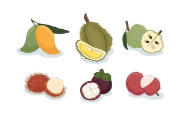 Hình ảnh vector Sầu riêng đặt các mục bị cô lập. – Thư viện hình vector